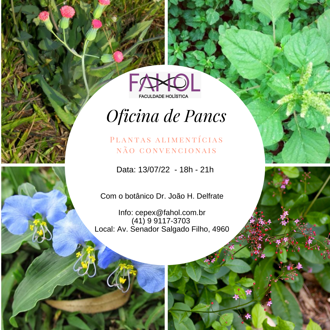 Publicações – FAHOL – FACULDADE HOLÍSTICA